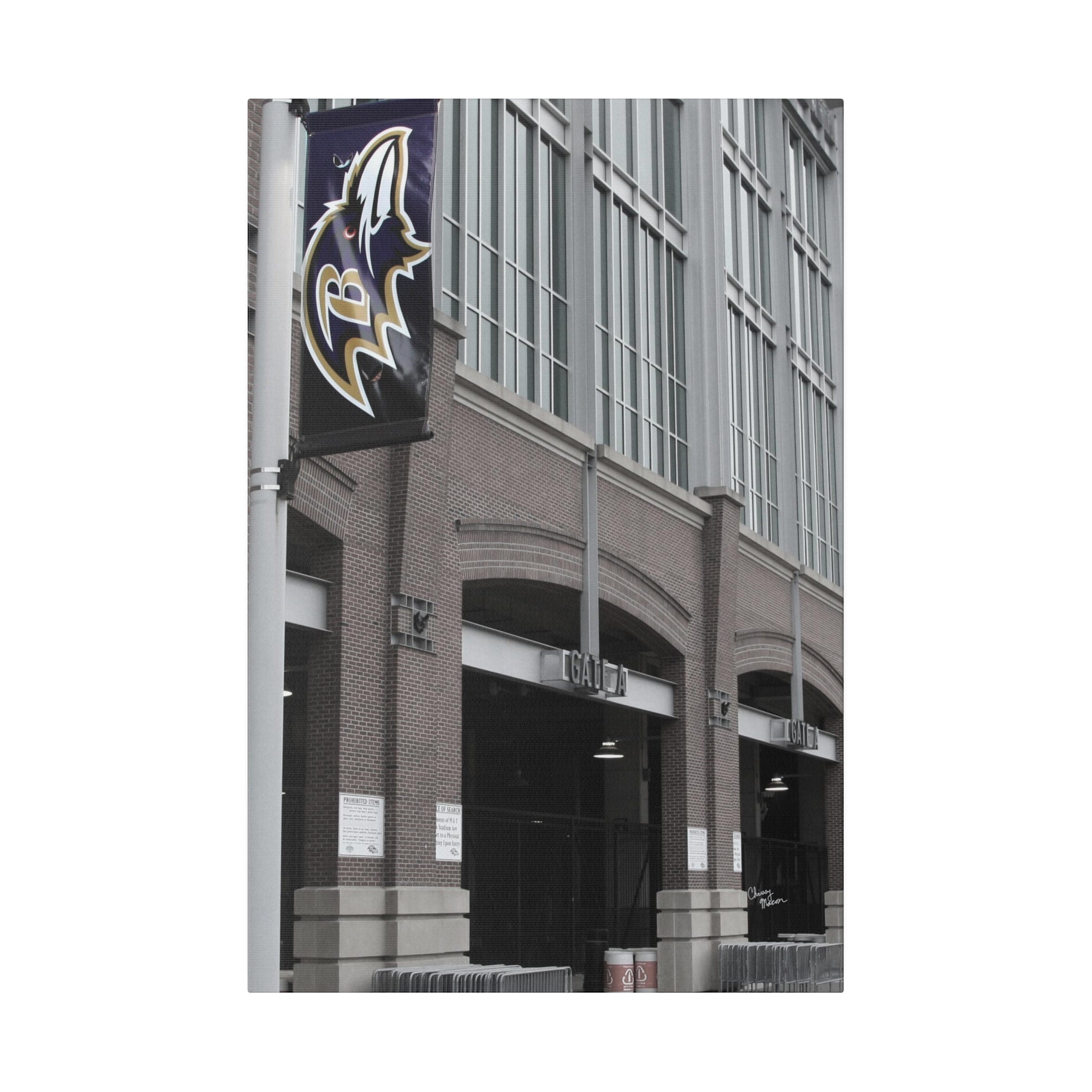 Baltimore Ravens Wall Art, Ravens Stadium Photograph, Football Art ...