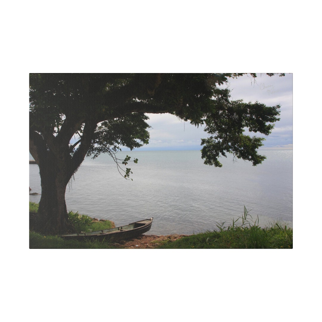 Rowboat Under the Tree Photo, Tree Overlooking Wall Art, Belize Photo ...