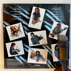 Allen Collins Band ex Lynyrd Skynyrd here, There & Back Vintage Vinyl ...