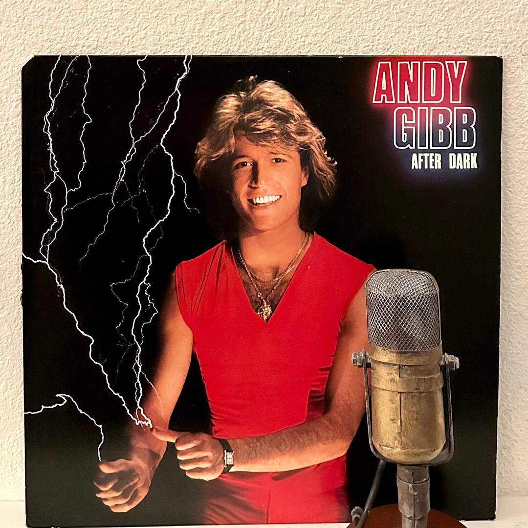 Vintage 1980's Music Andy Gibb after Dark - Etsy