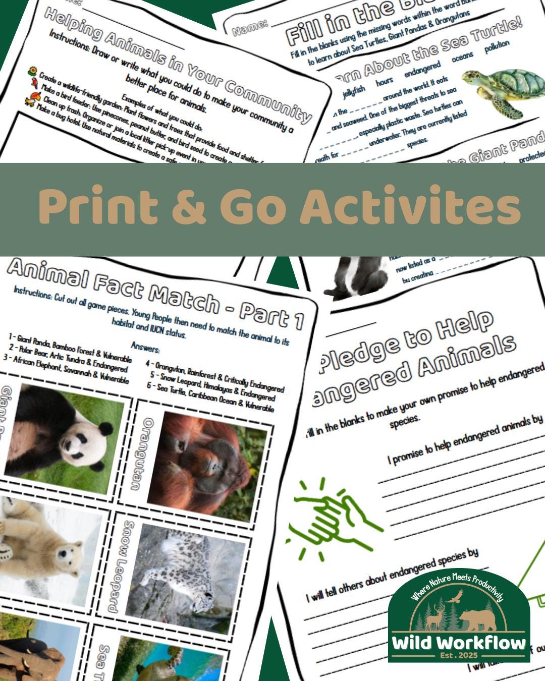 Endangered Species Worksheets and Colouring Pages - Etsy