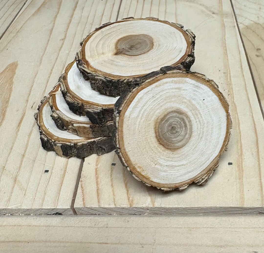 Elm Wood Slices 1.875”—2.25” | Sanded or Raw Rustic Tree Rounds | Craft ...