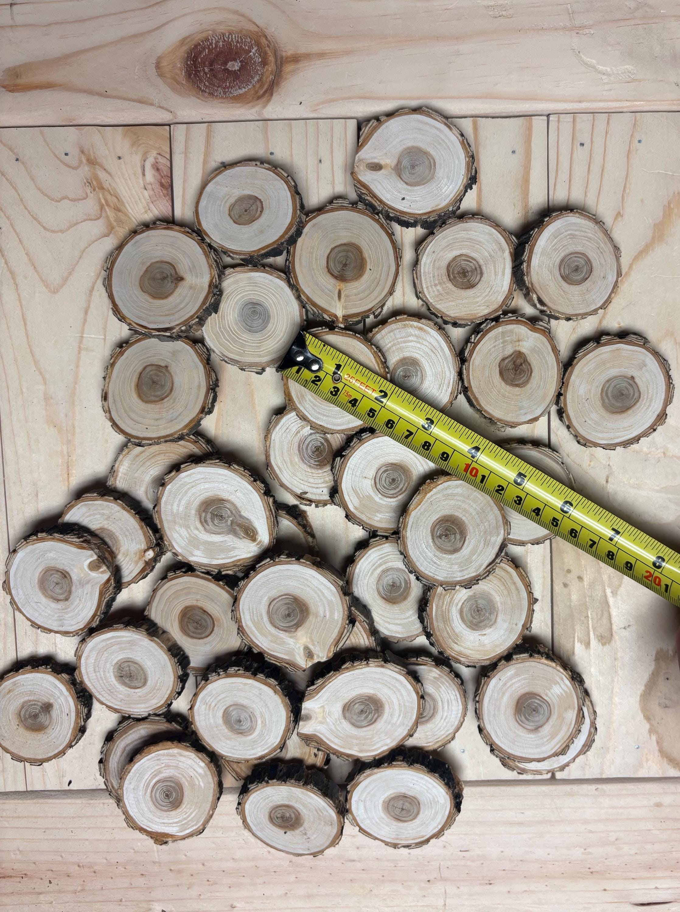 Elm Wood Slices 1.875”—2.25” | Sanded or Raw Rustic Tree Rounds | Craft ...