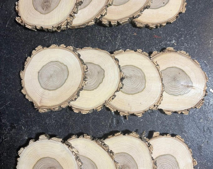 Rustic American Elm Wood Slices 4–4.5 Inch Heat Dried Rounds, Natural ...