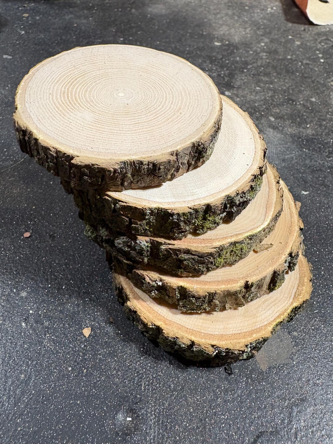 Rustic Tree Slices for Crafts, Coasters, Wedding Decor – 2.25”–3 ...
