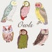 CLIP ART Owls for Commercial and Personal Use - Etsy