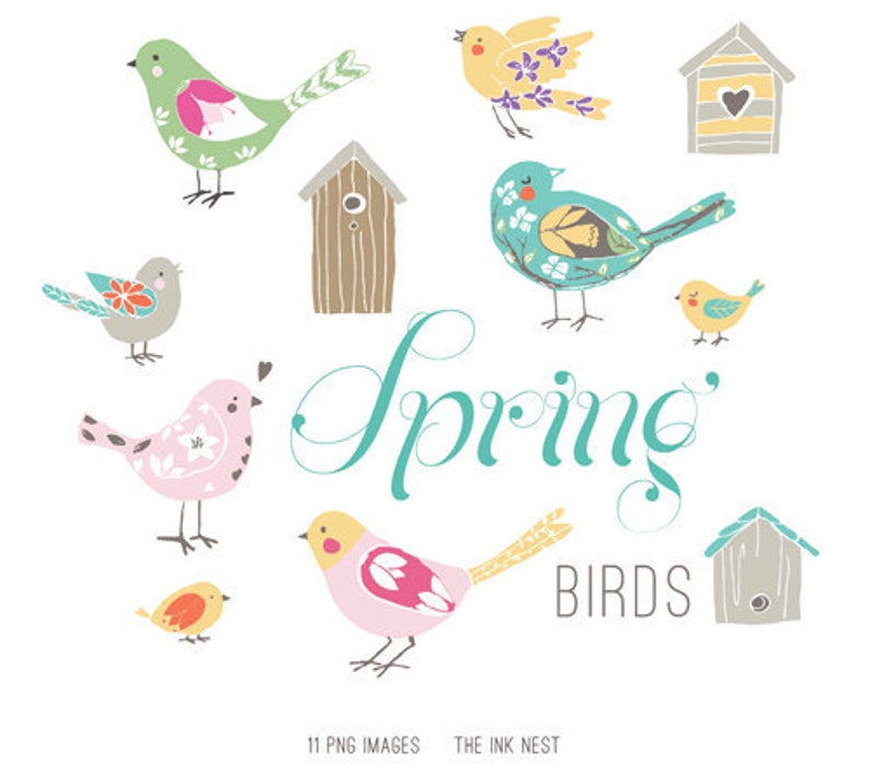 CLIP ART - Spring Birds - for Commercial and Personal Use - Etsy