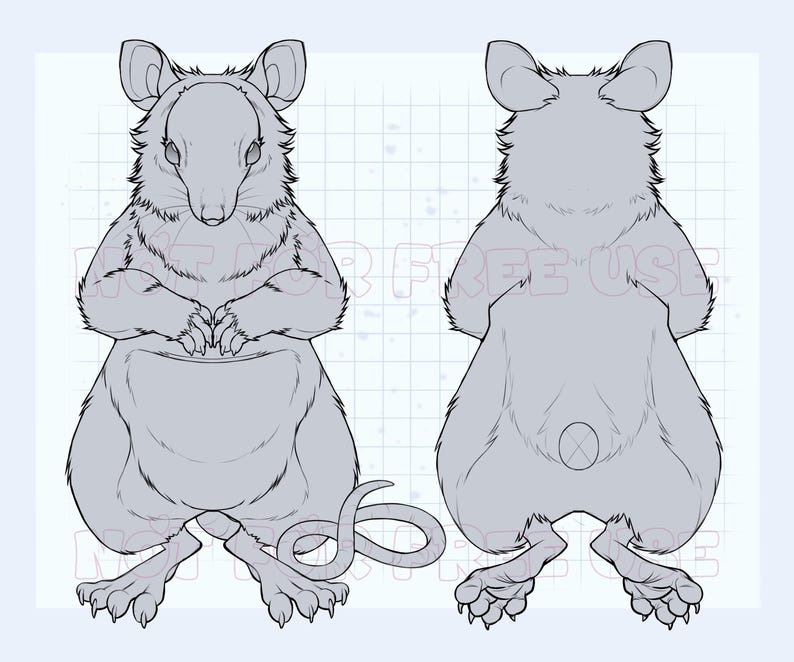 Opossum Reference Sheet Base | DIY Digital Furry Coloring Page - Etsy