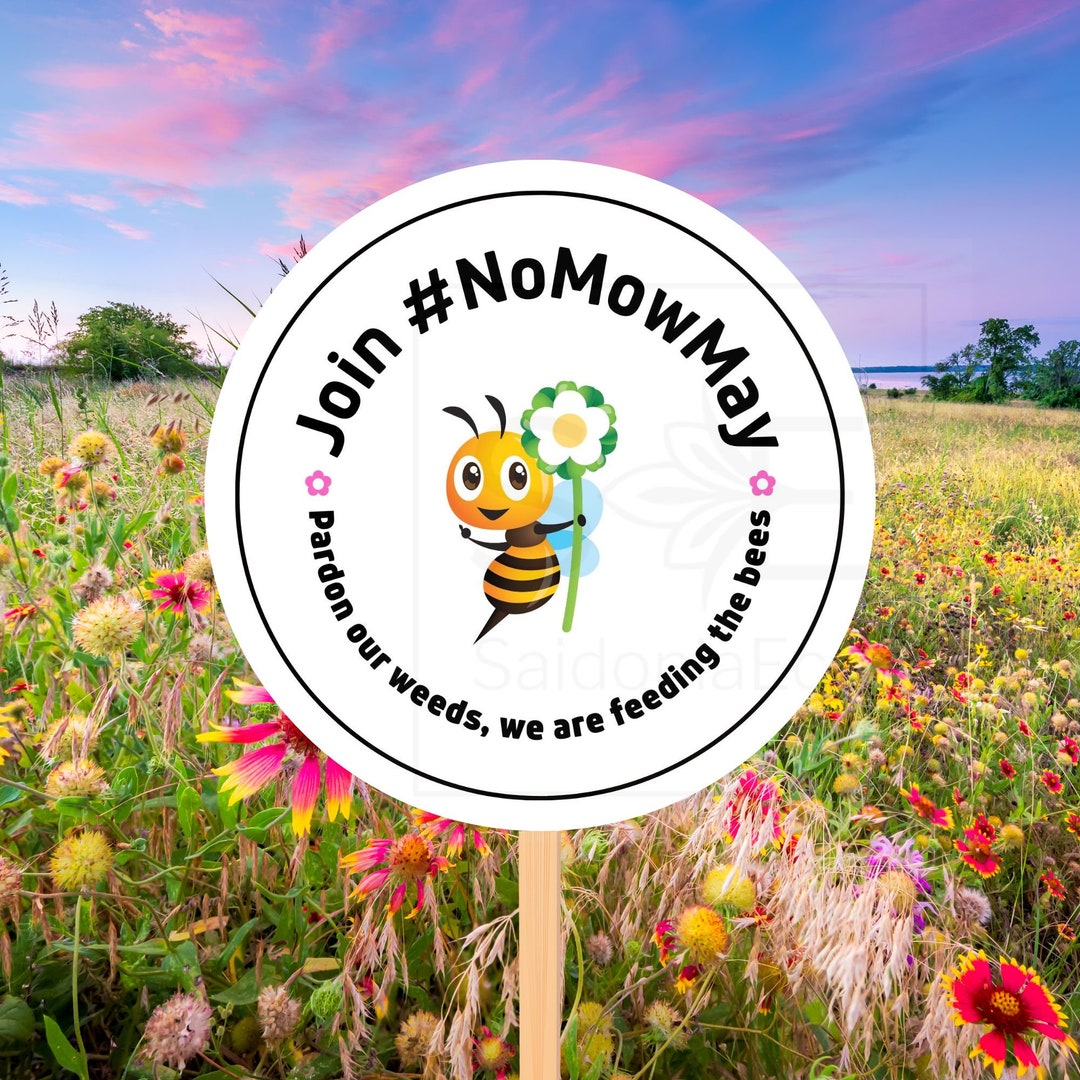 Digital No Mow May Sign, Save the Bees Poster, No Mow Lawn Yard ...