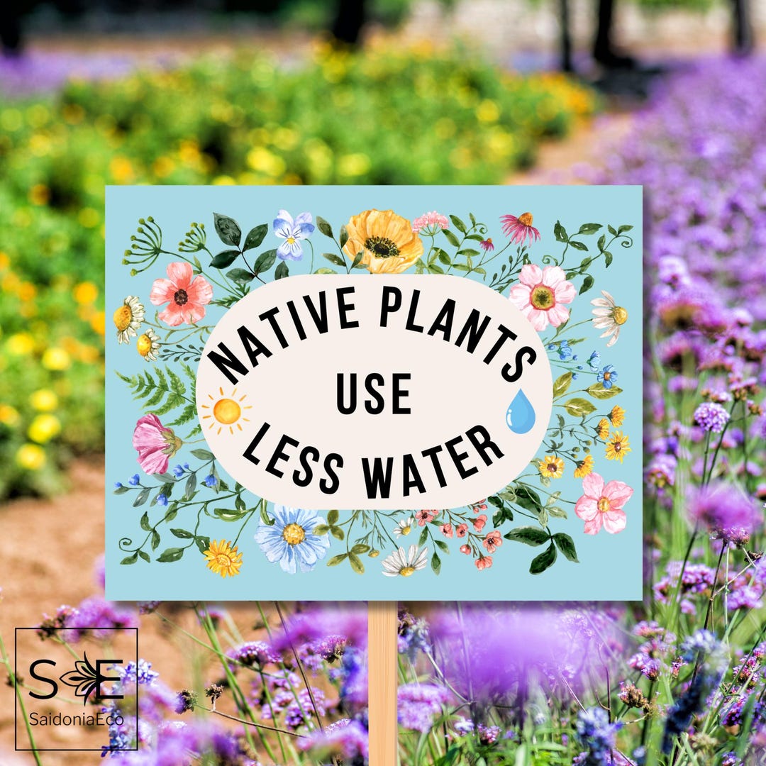 PRINTABLE • Native Plants Use Less Water PDF, Instant Download ...