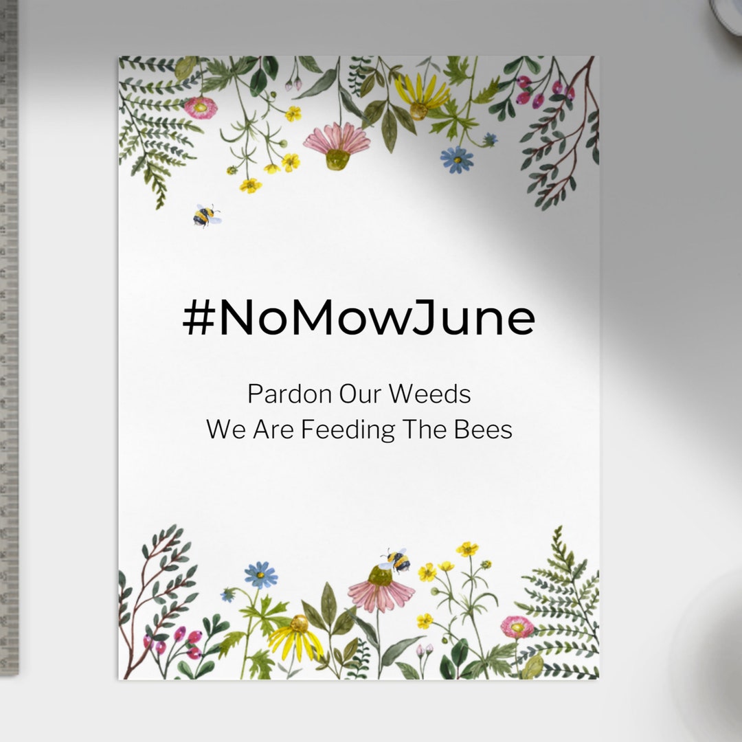 PRINTABLE No Mow May and June Signs, Eco Friendly Bee Butterfly Support ...