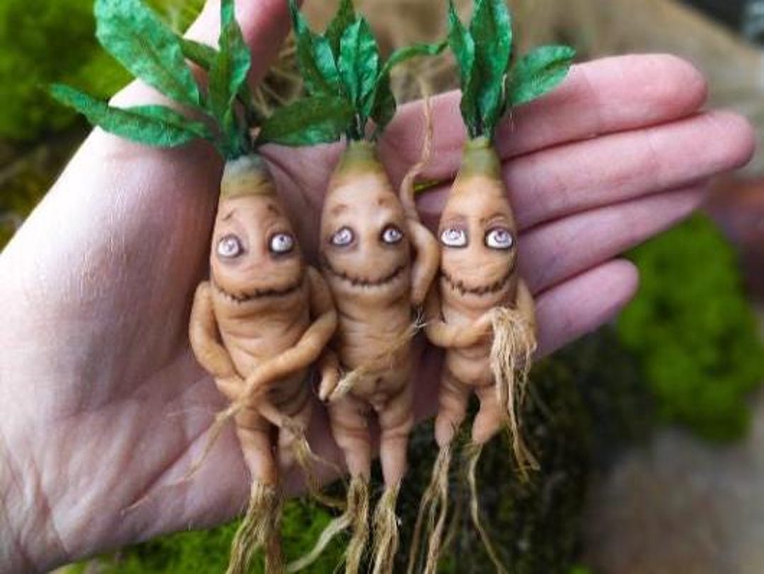 Mandrake Root Figurine – Creepy Cute Plant Doll, Handmade Fantasy ...