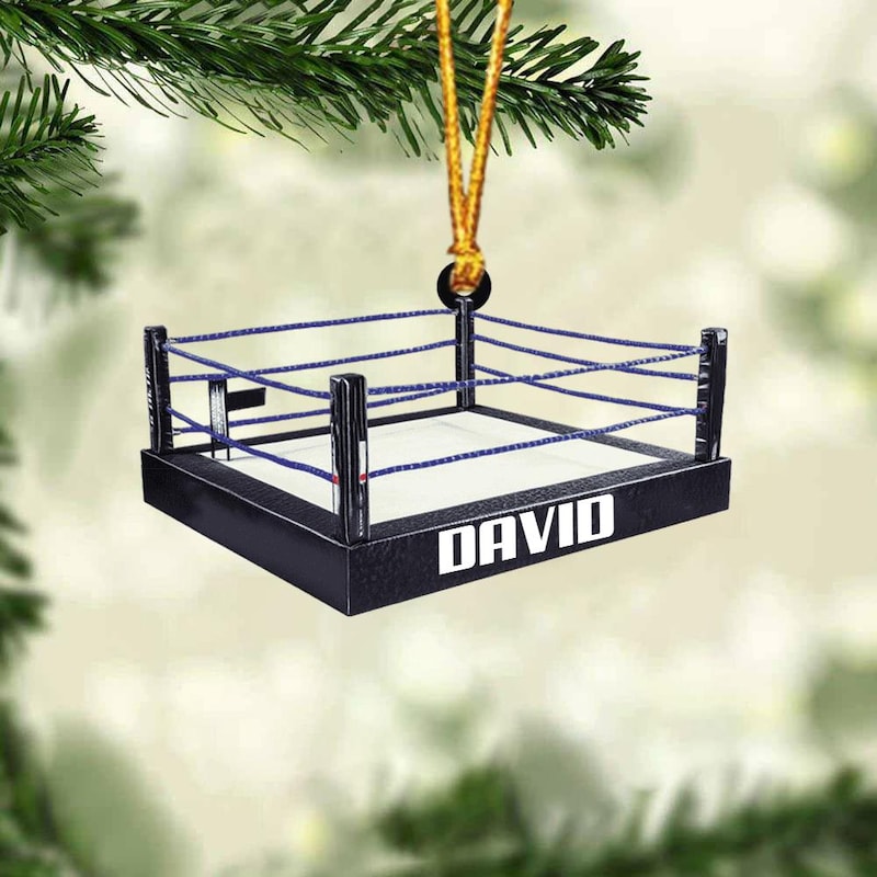 Acrylic Boxing Ring - Etsy