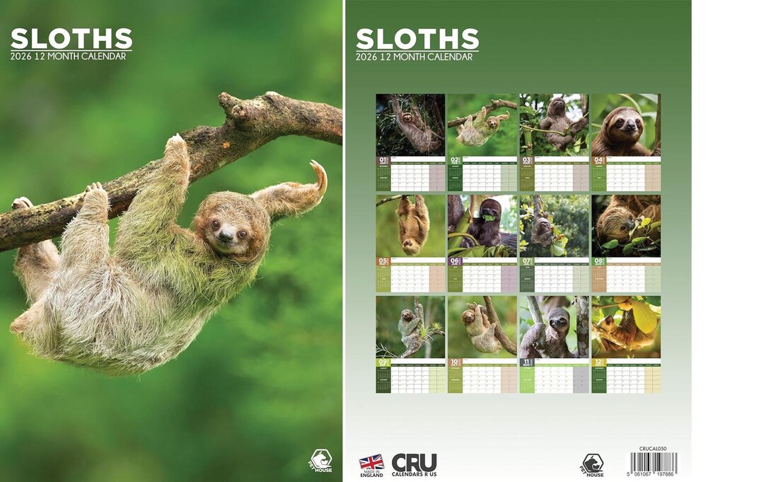 Sloths 2026 Wall Calendar: A3 Professional Photography - Etsy