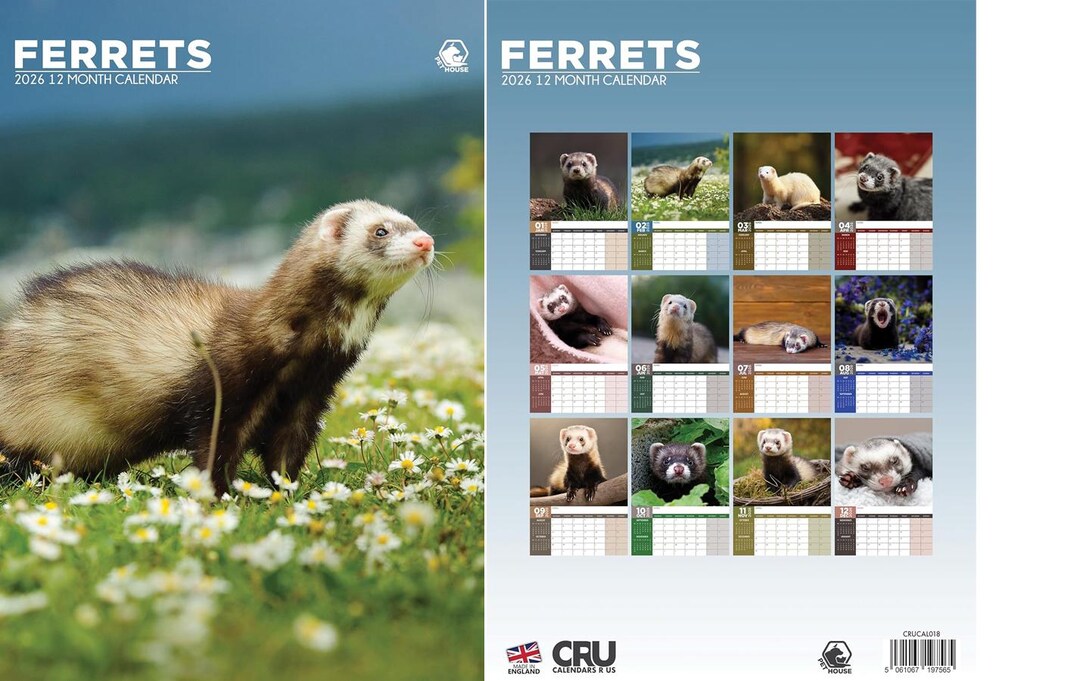 Ferrets 2026 Wall Calendar, A3 Size, 12-month of Great Photography - Etsy
