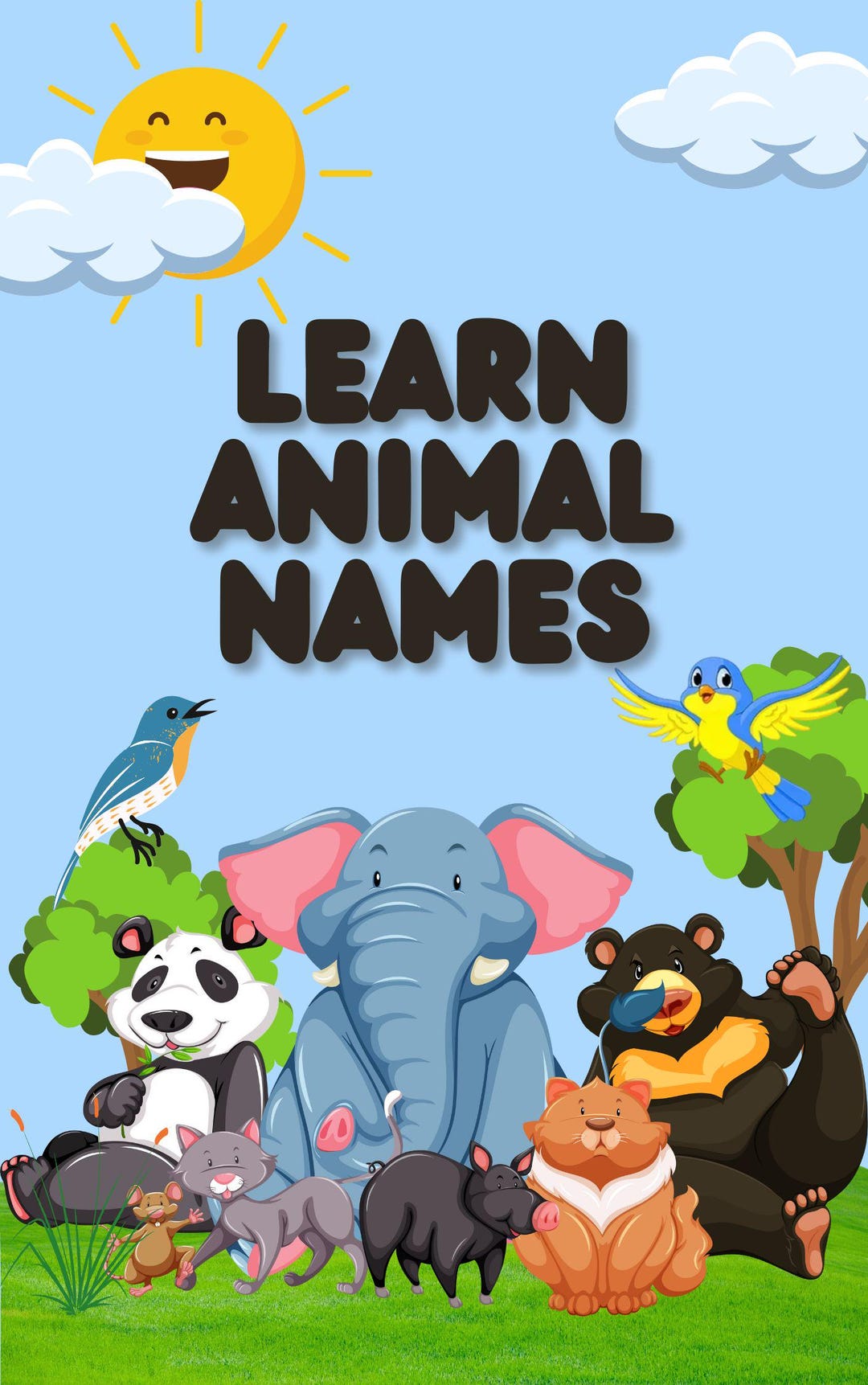 Learn Animal Names Coloring Book - Etsy