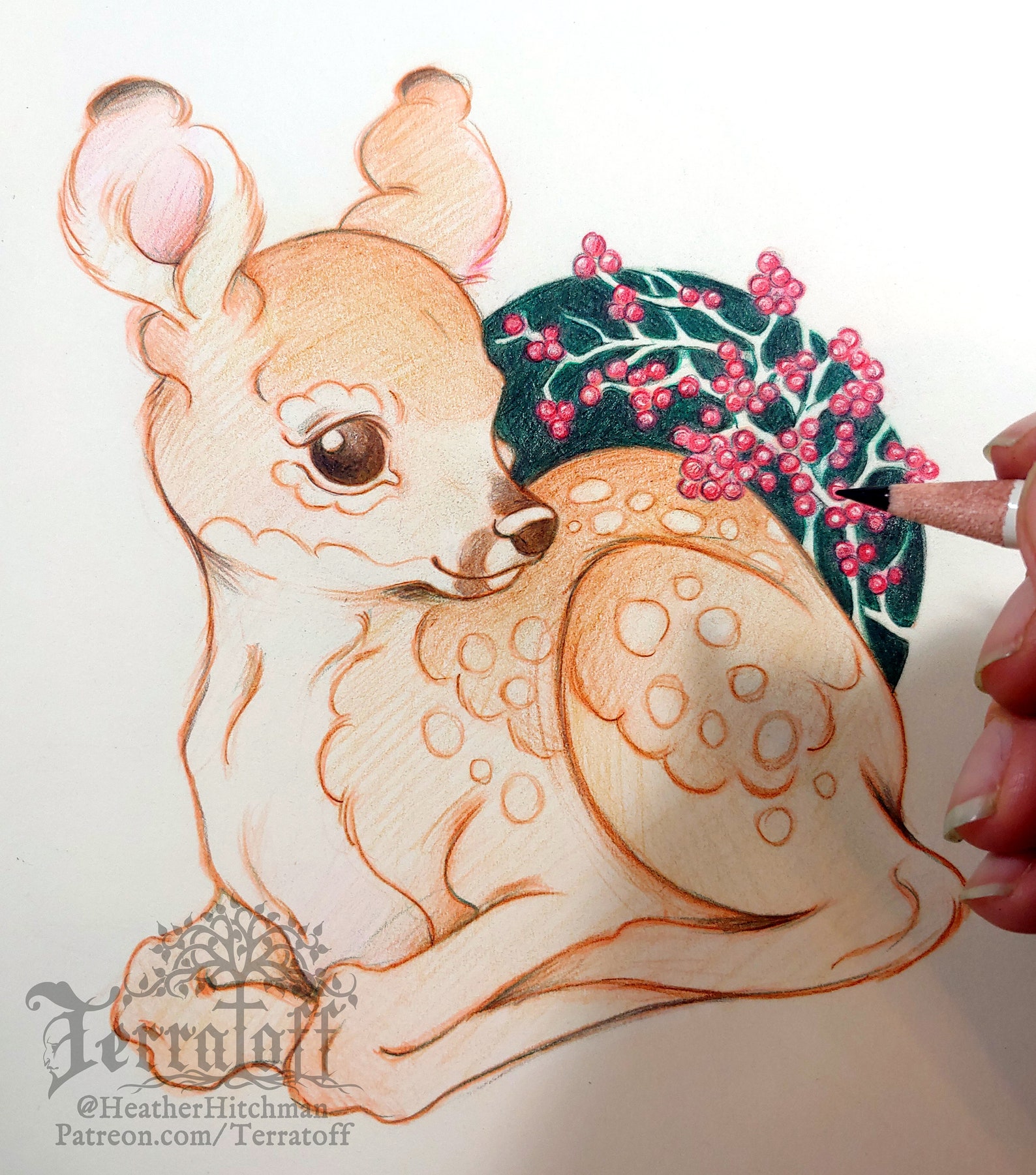 Giclee Fawn Print: The Fawn of Winter Berries Limited | Etsy