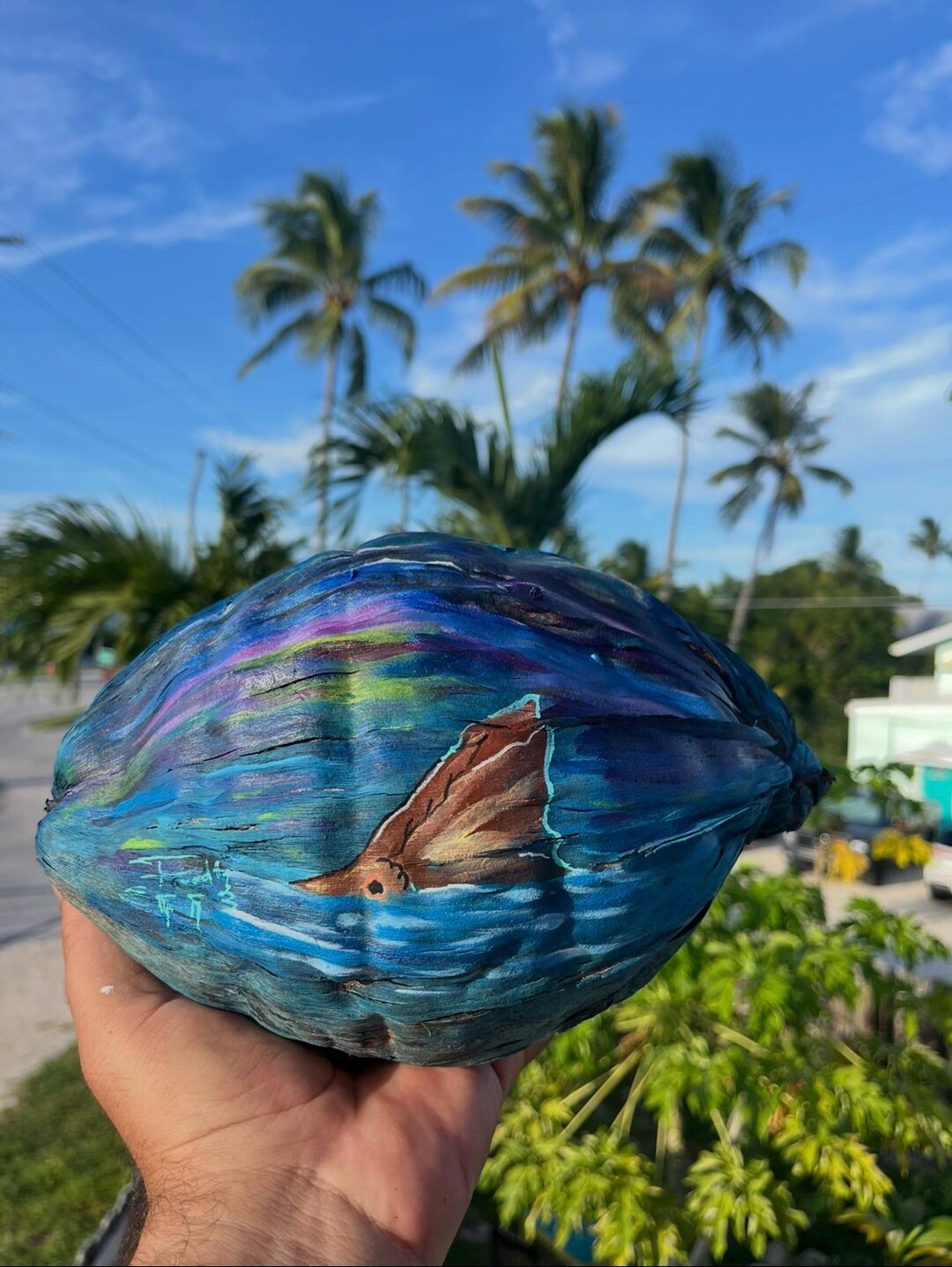 Redfish Tail Coconut -florida Keys Painted Coconut - Etsy