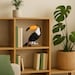 Toucan Papercraft Template PDF SVG DXF | 3D Bird Sculpture | Low-poly ...