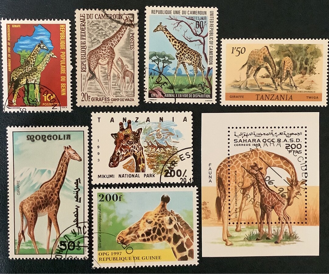 8 GIRAFFES Vintage Postage Stamps for Crafting Collage Altered - Etsy
