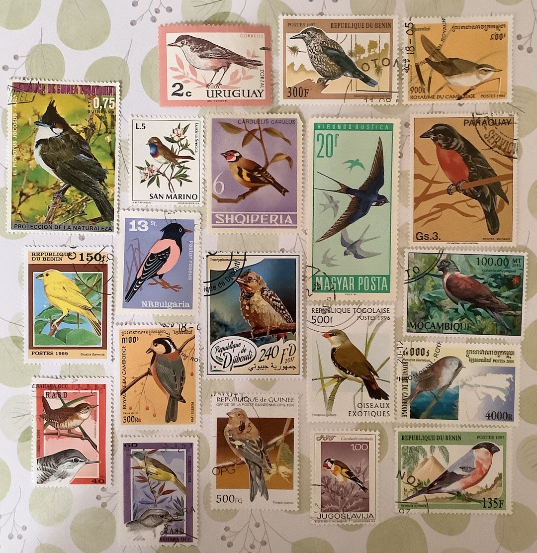 20 WILD BIRDS World Postage Stamps Wildlife Stamps for Crafts - Etsy