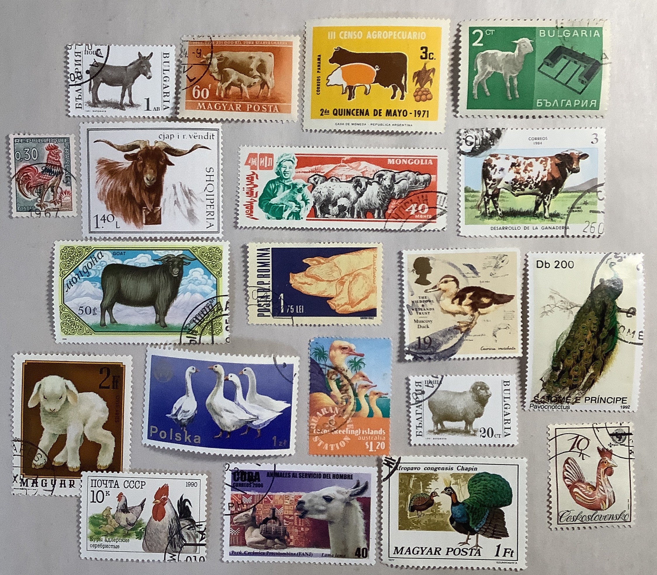 15 FARM ANIMALS Vintage Postage Stamps sheep goats cows chickens hogs ...