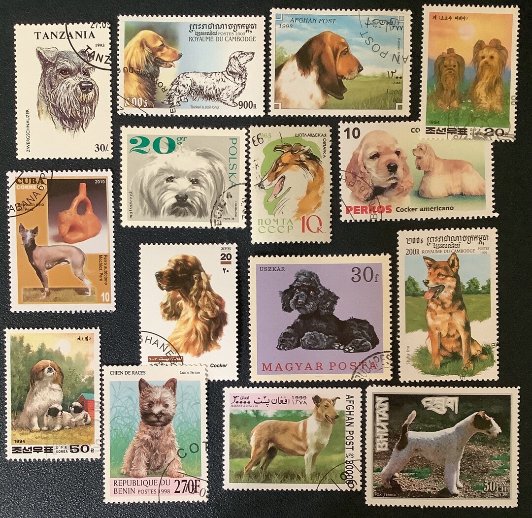 15 SMALL MEDIUM DOGS Puppies Postage Stamps Crafts Collage Cairn Fox ...