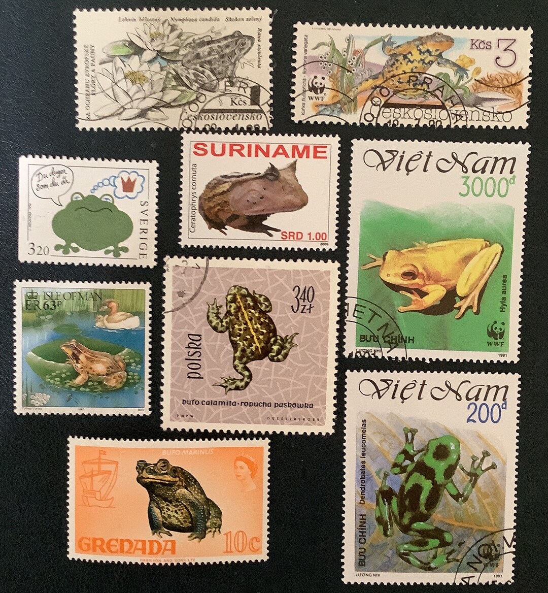 9 FROGS REPTILES Vintage World Postage Stamps Collage, Cards, Altered ...