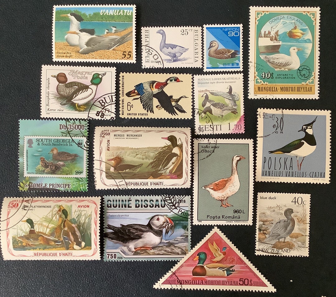 15 DUCKS GEESE Water Fowl Birds Vintage Postage Stamps for - Etsy