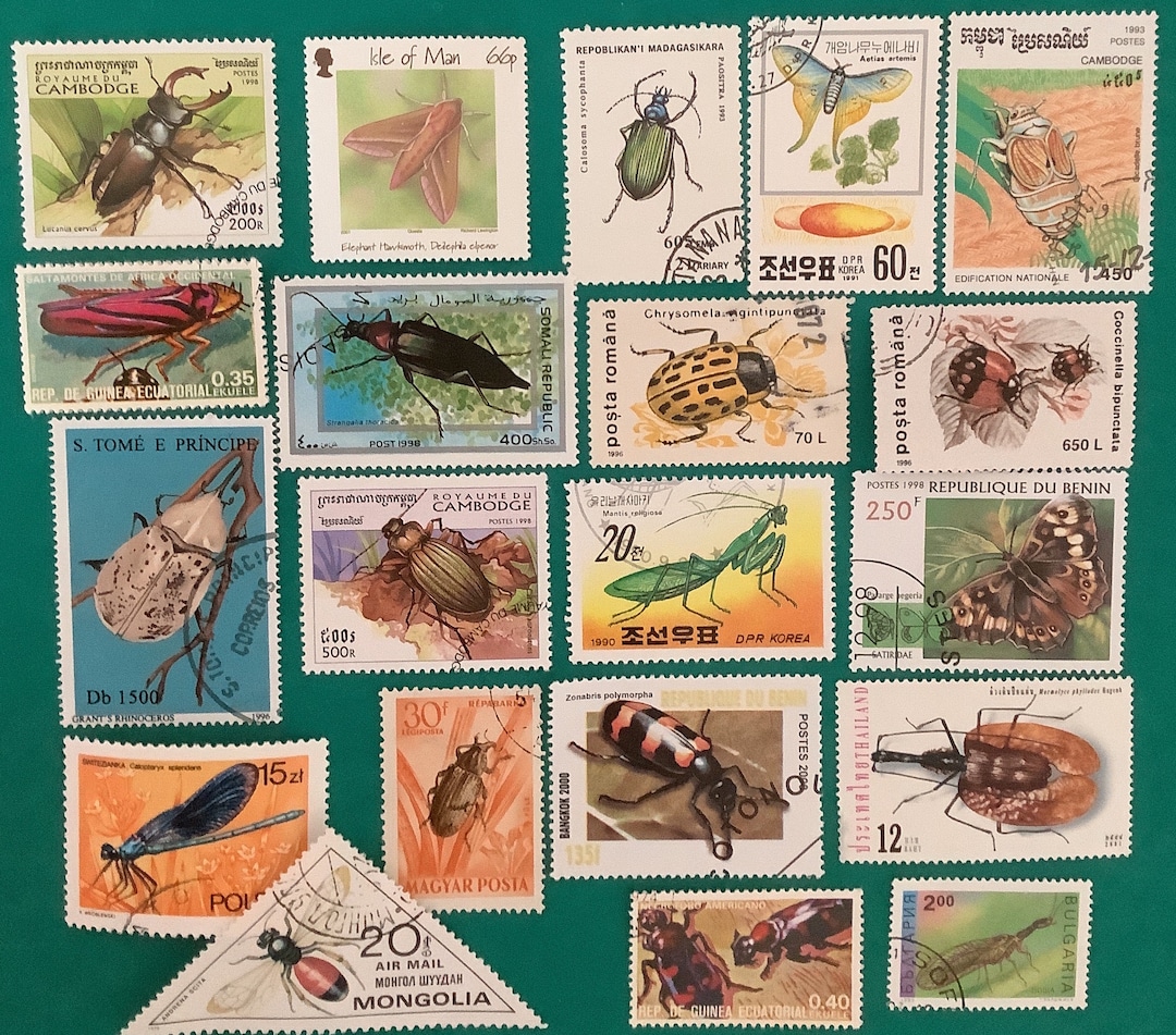 20 INSECTS BUGS Beetles Crawling Bugs World Postage Stamps - Etsy