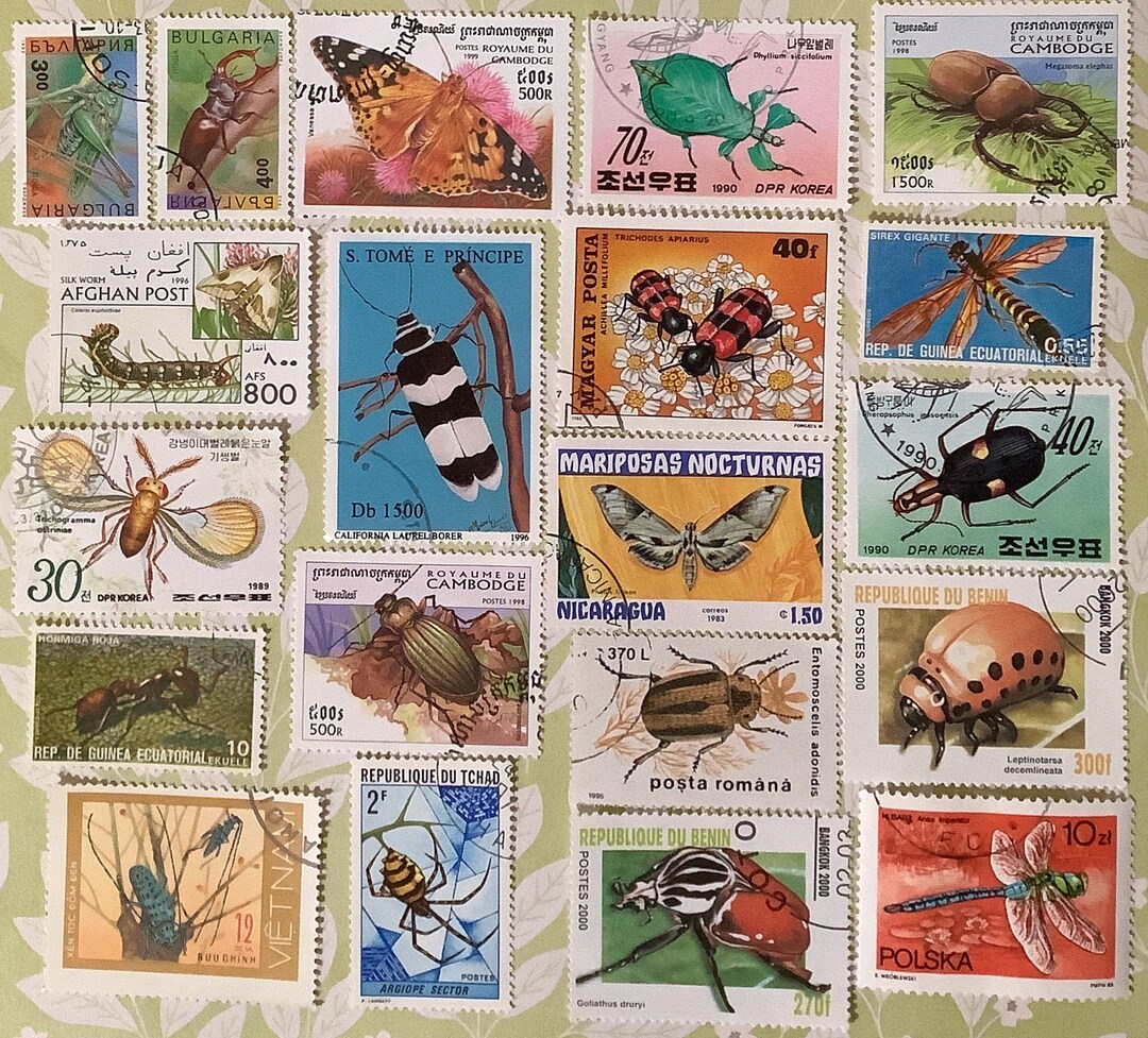 20 INSECTS BUGS Beetles Crawling Bugs World Postage Stamps Collage ...