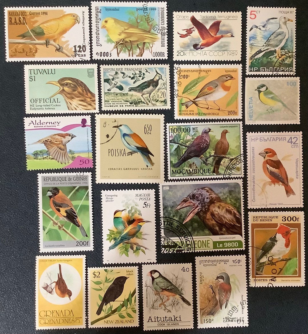 20 WILD BIRDS World Postage Stamps Wildlife Stamps for Crafts Collage ...
