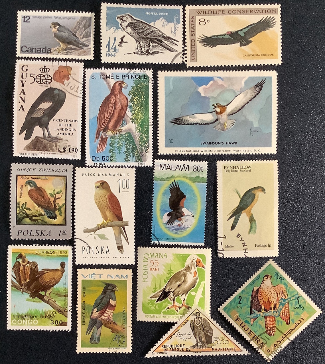 15 Birds of Prey Vintage Postage Stamps Vulture Hawks Falcons | Etsy