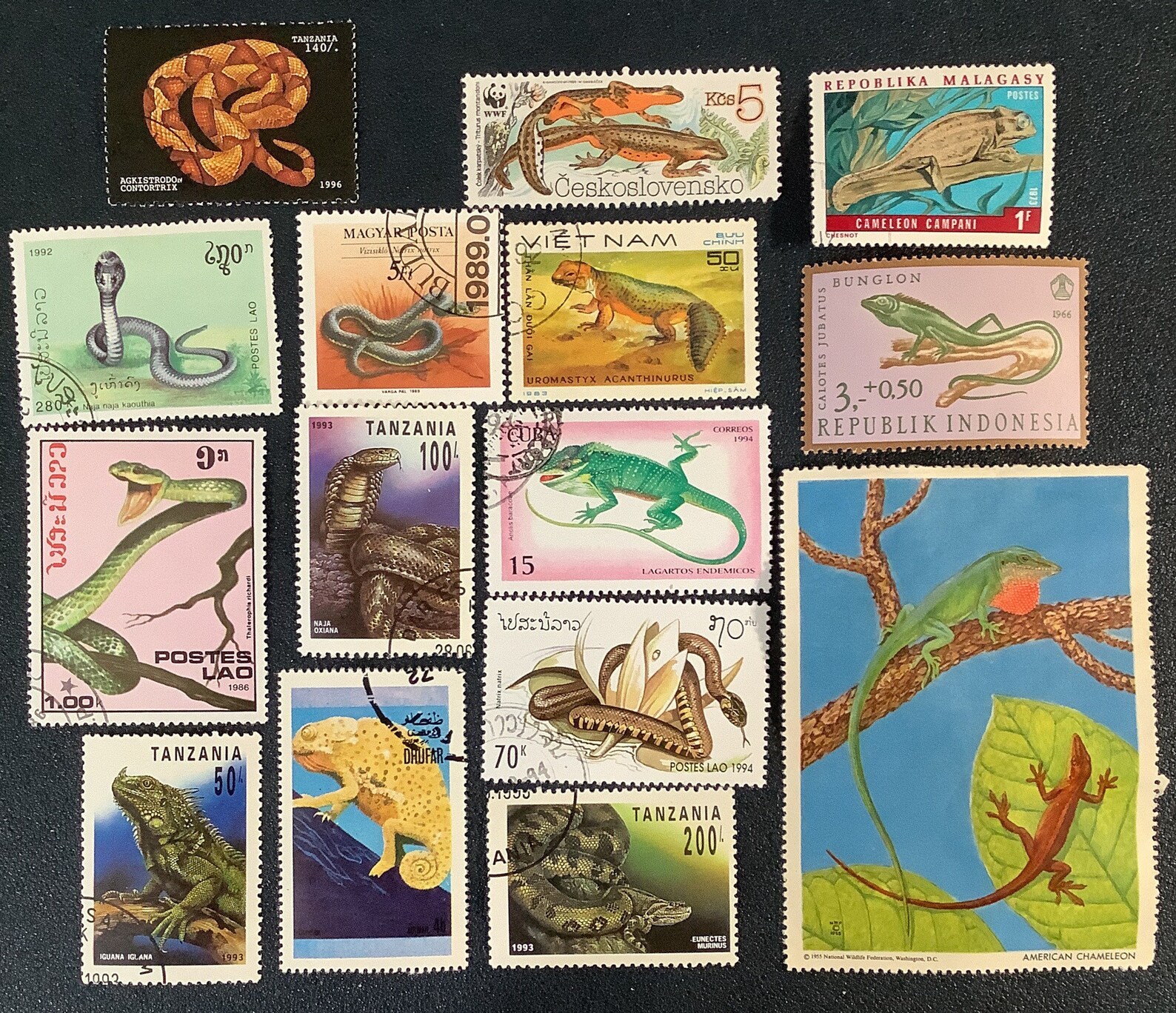 15 SNAKES Lizards REPTILES World Postage Stamps collage | Etsy
