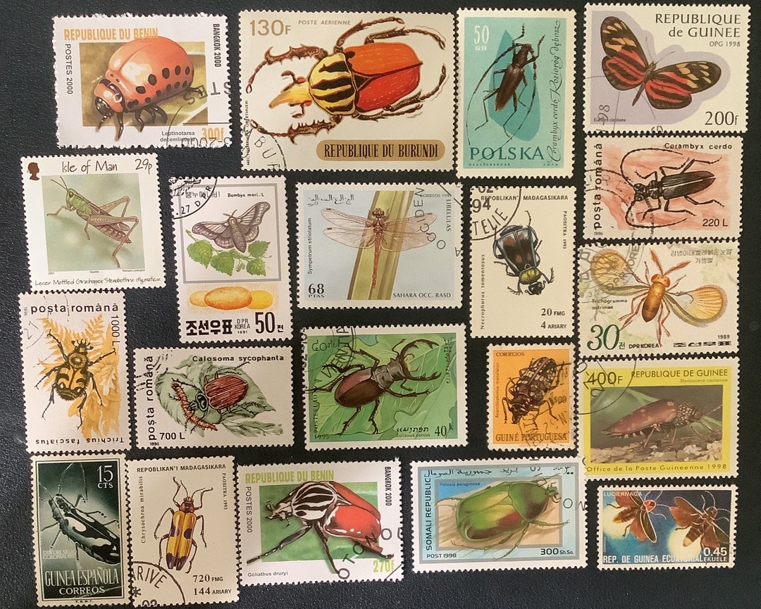 20 INSECTS BUGS Beetles Crawling Bugs World Postage Stamps - Etsy