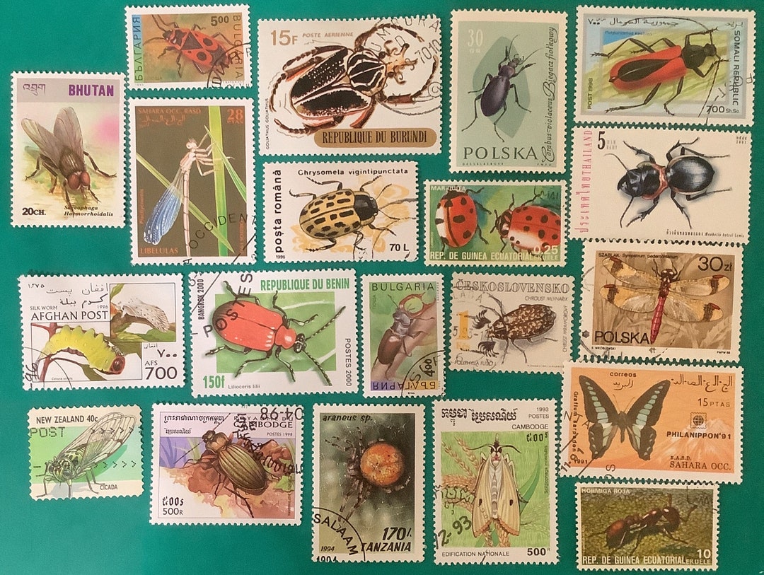 20 INSECTS BUGS Beetles Crawling Bugs World Postage Stamps - Etsy