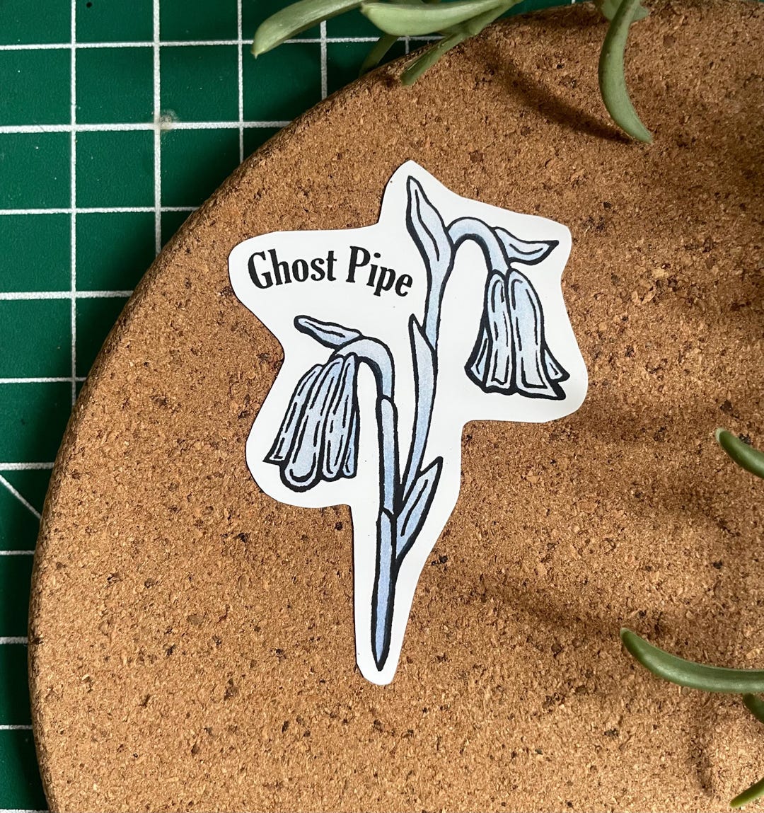 Ghost Pipe Sticker • Vinyl Plant Sticker • Flower Sticker • Nova Scotia ...