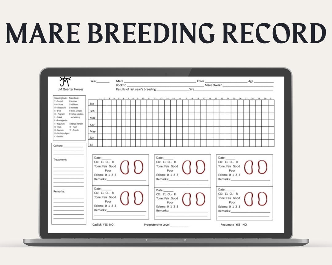 Mare Breeding Record, Complete Tracking, Breeder Made (digital Download ...