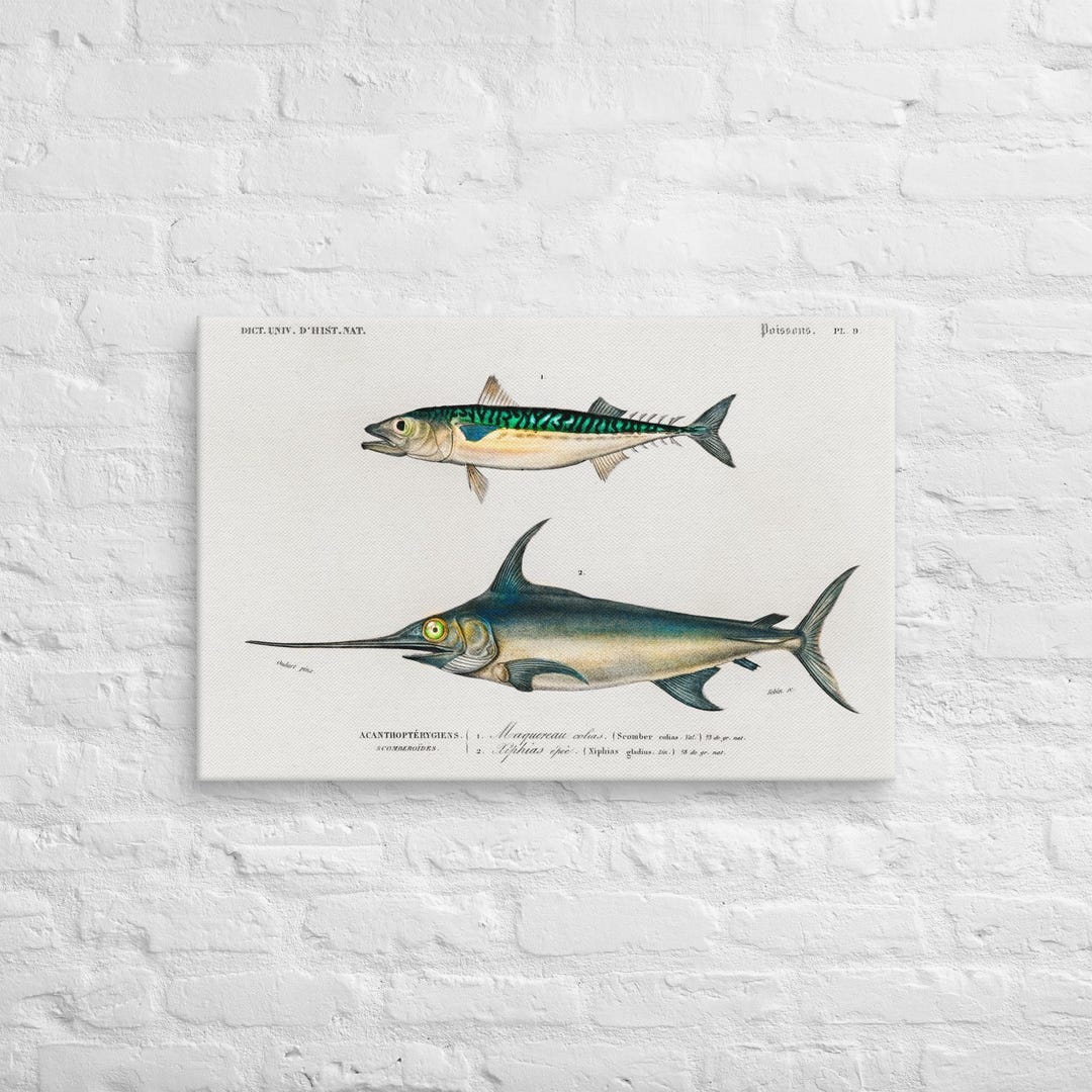 Different Types of Fishes by Charles D' Orbigny (1806-1876) | Fish ...