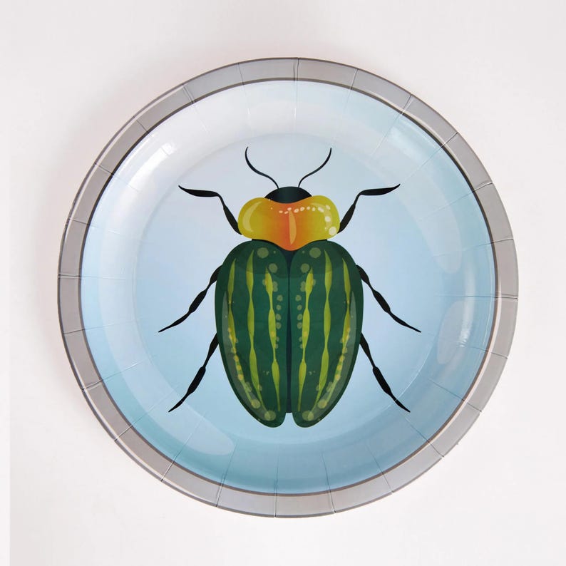 Bug Birthday Party Plates | Kids Insect Theme Tableware for Bug Bash ...