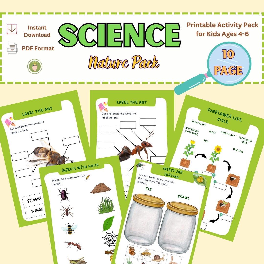 Animal & Plant Life Cycle Worksheets | Nature Science Activities for ...