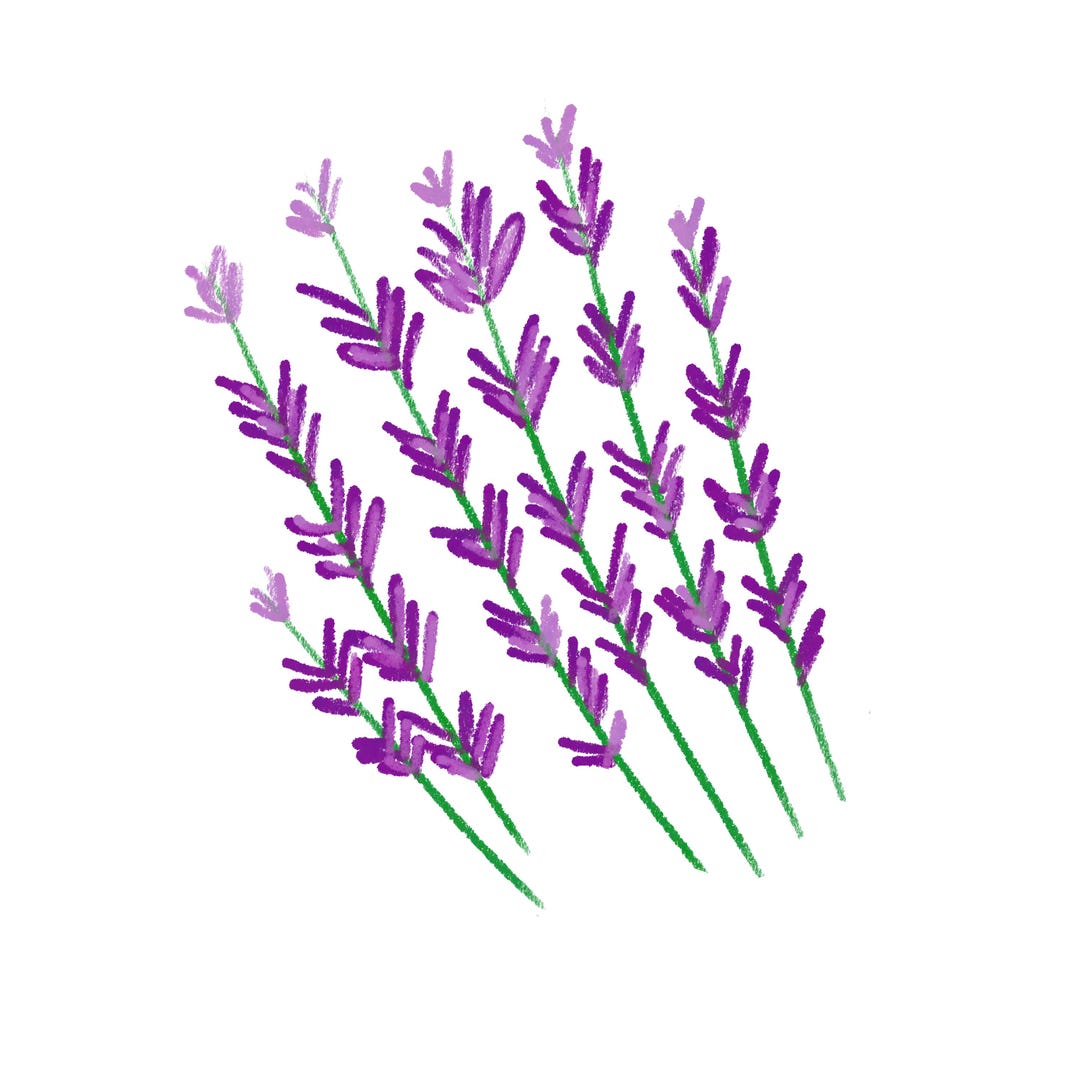Lavender Bouquet PNG - Purple Hand-drawn Flowers - Etsy