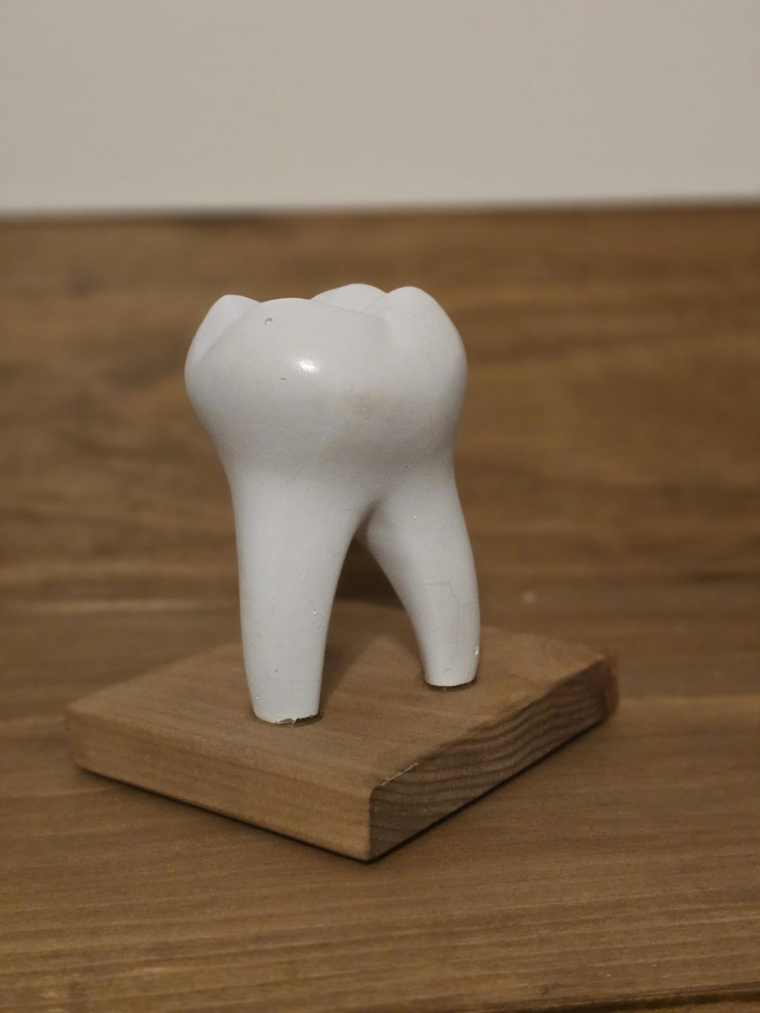 Concrete Tooth Sculpture With Wooden Base - Etsy