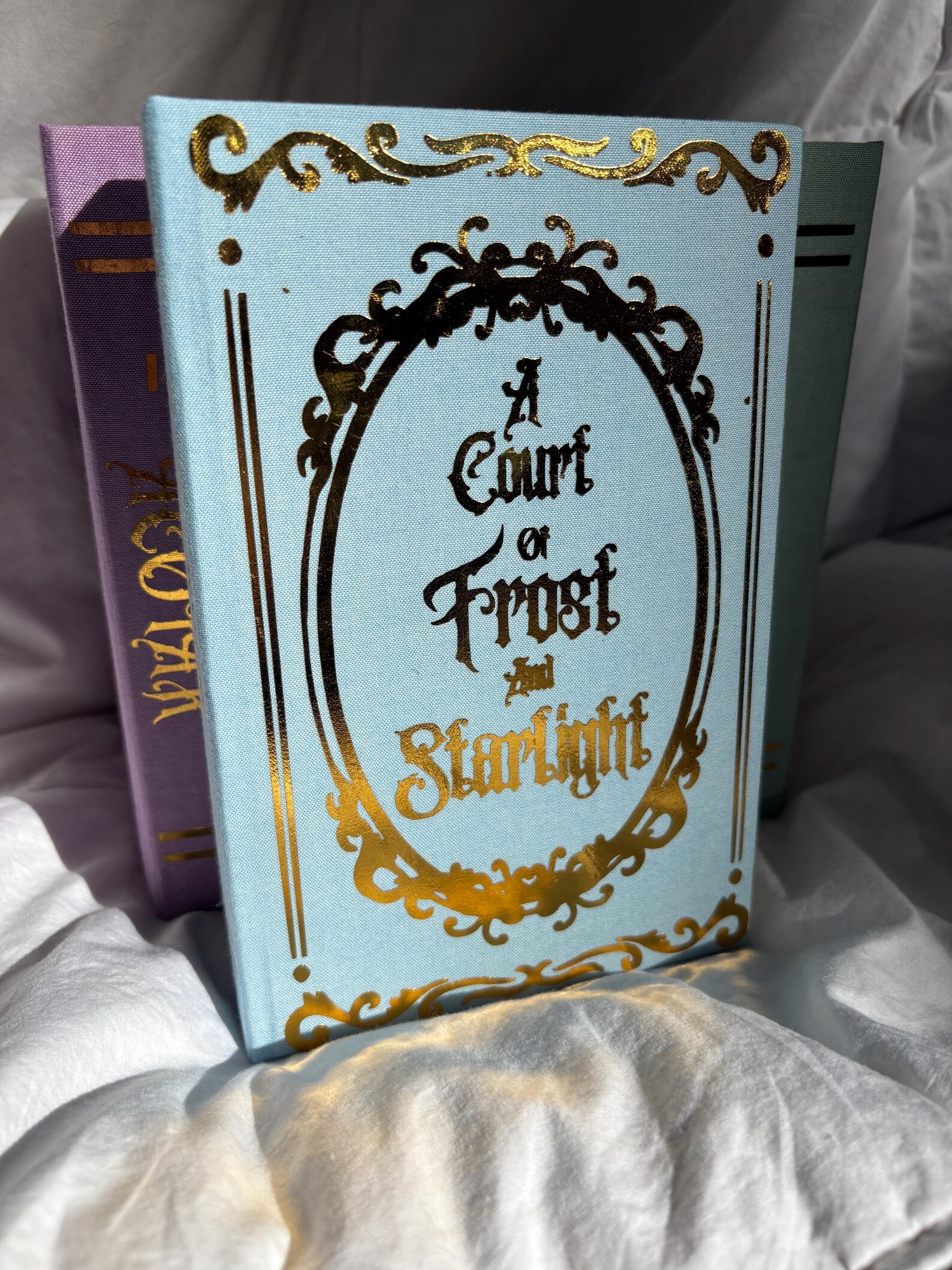 ACOTAR Rebind, Custom Hardcovers - Etsy