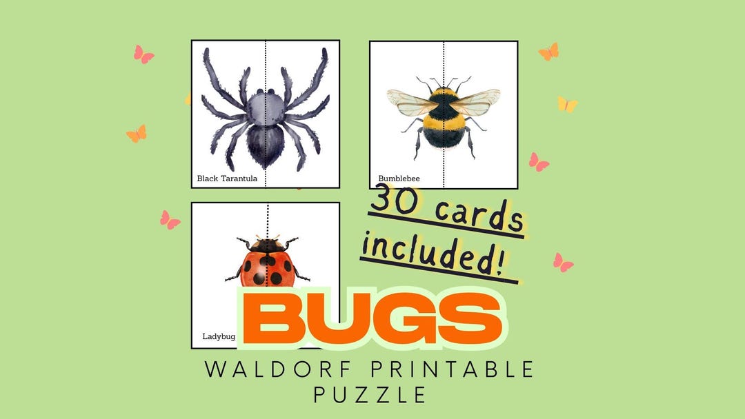 BUG SYMMETRY PUZZLE, Insect Matching, Waldorf and Montessori Game ...