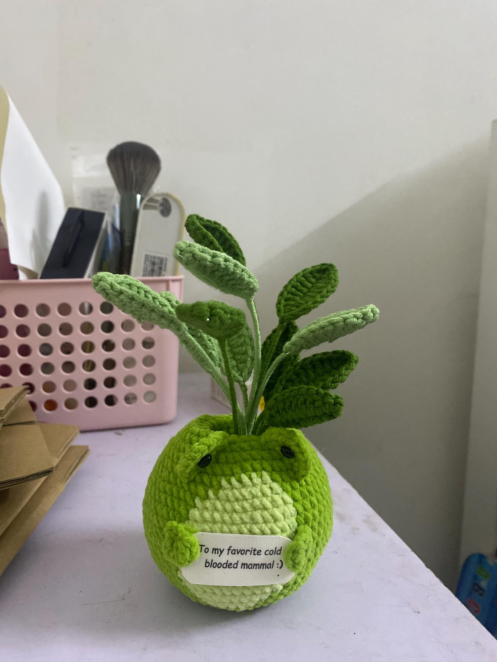 Crochet Frog Planter Pot – Handmade Amigurumi Frog Plant Holder, Cute ...