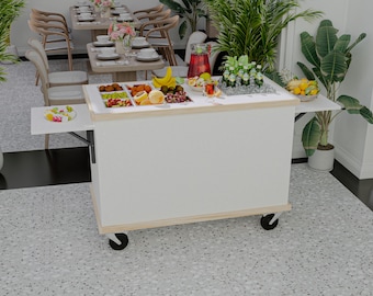 DIY PDF 4-in-1 Collapsible Service Cart Plans Bundle – Portable Cart ...