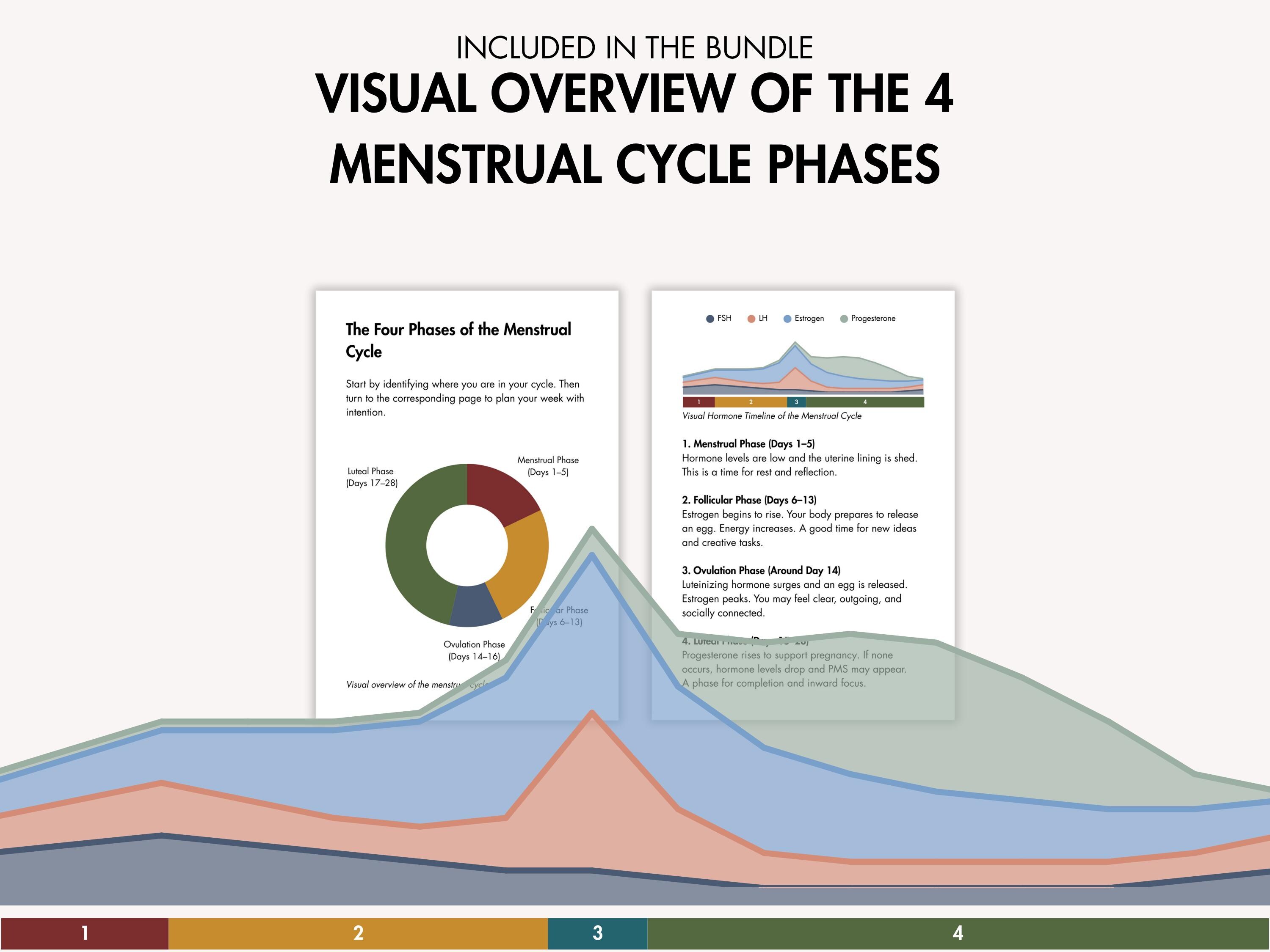 Menstrual Cycle Awareness Guide – Track Phases, Hormones and Symptoms ...