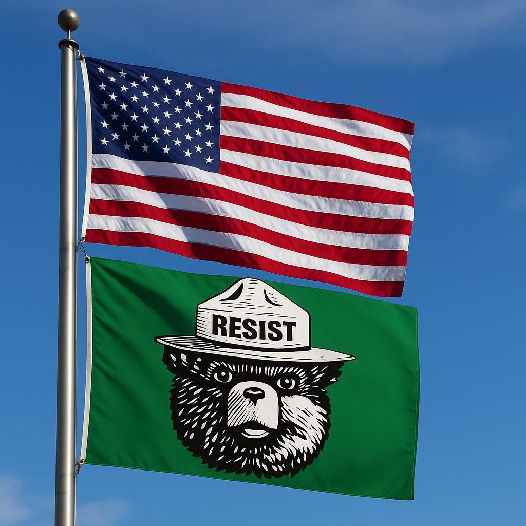 Smokey Bear RESIST Flag GREEN / Four Sizes up to 3x5' Big / Show You ...