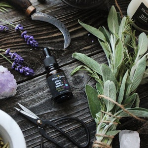 100% That Witch Essential Oil Diffuser Blend, Halloween Essential Oil ...